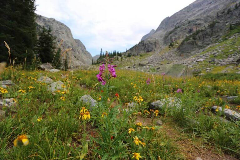 Wind River High Route - A Guide