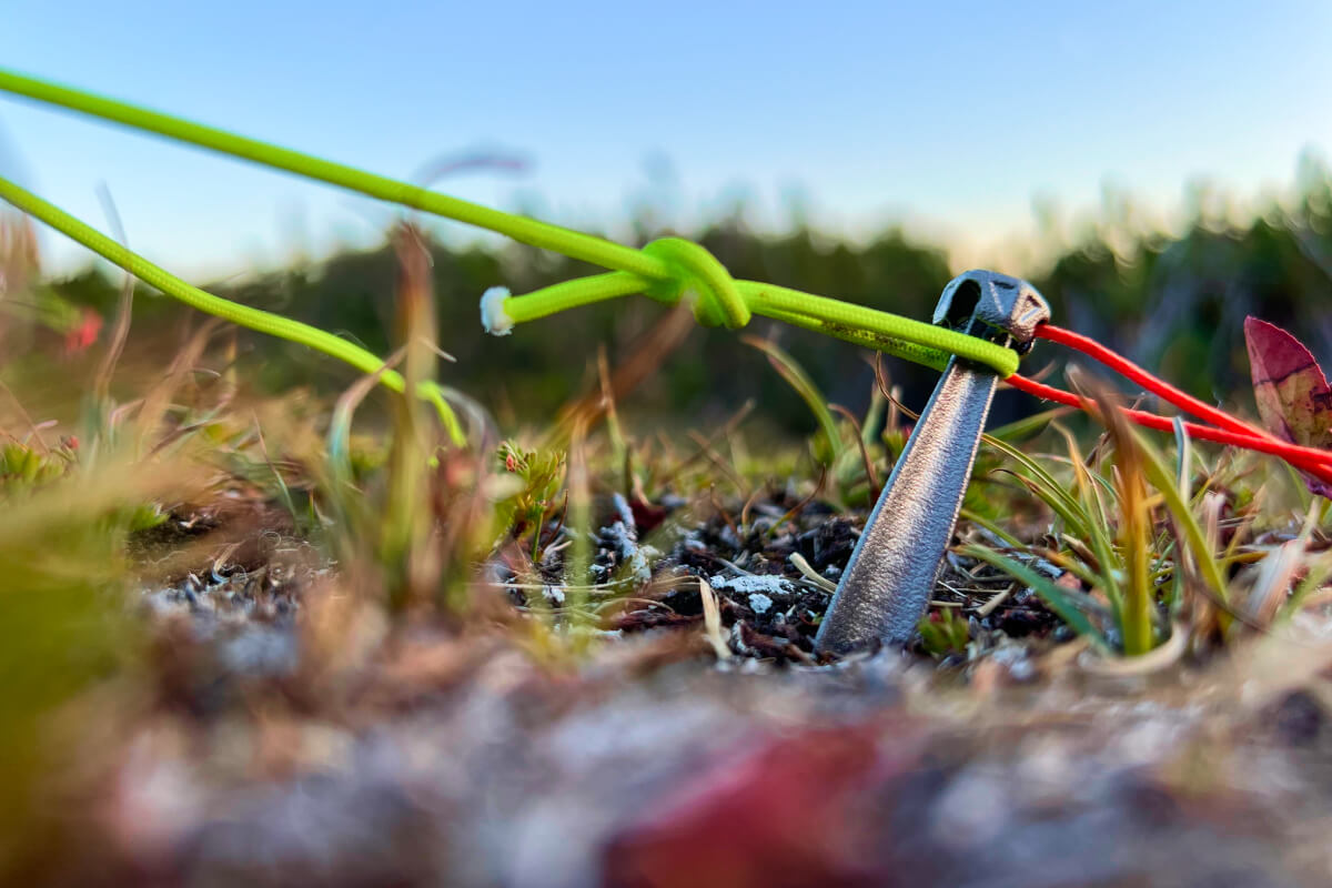 Teragon Gear Pioneer Stake Review - 3D Printed Perfection