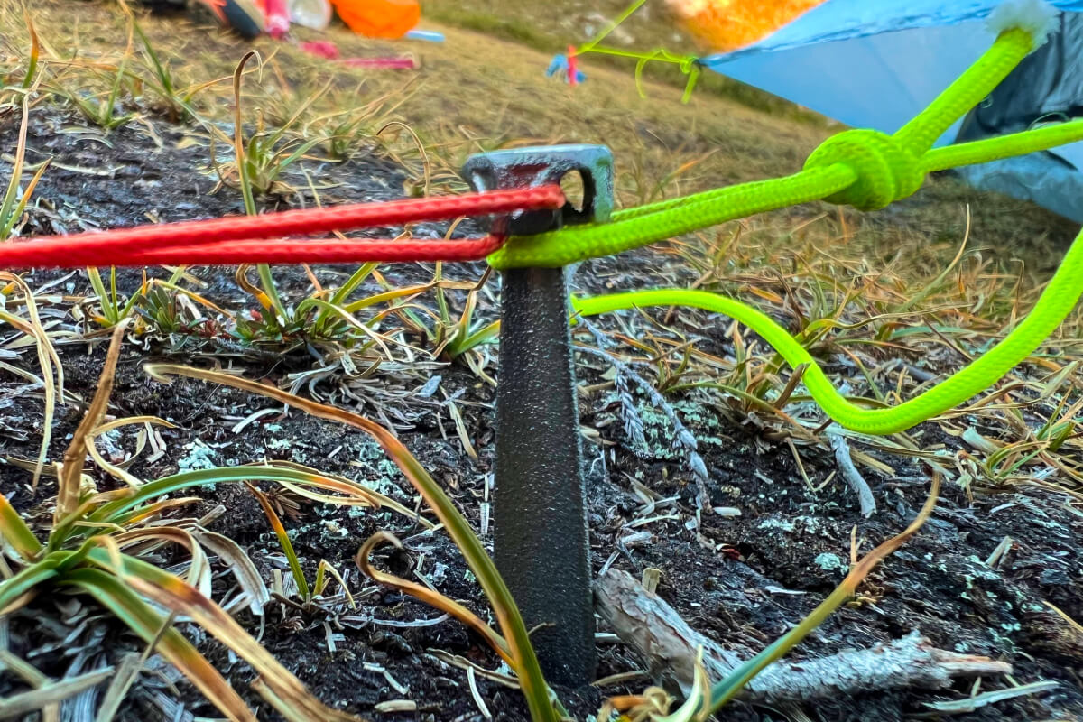 Teragon Gear Pioneer Stake Review - 3D Printed Perfection