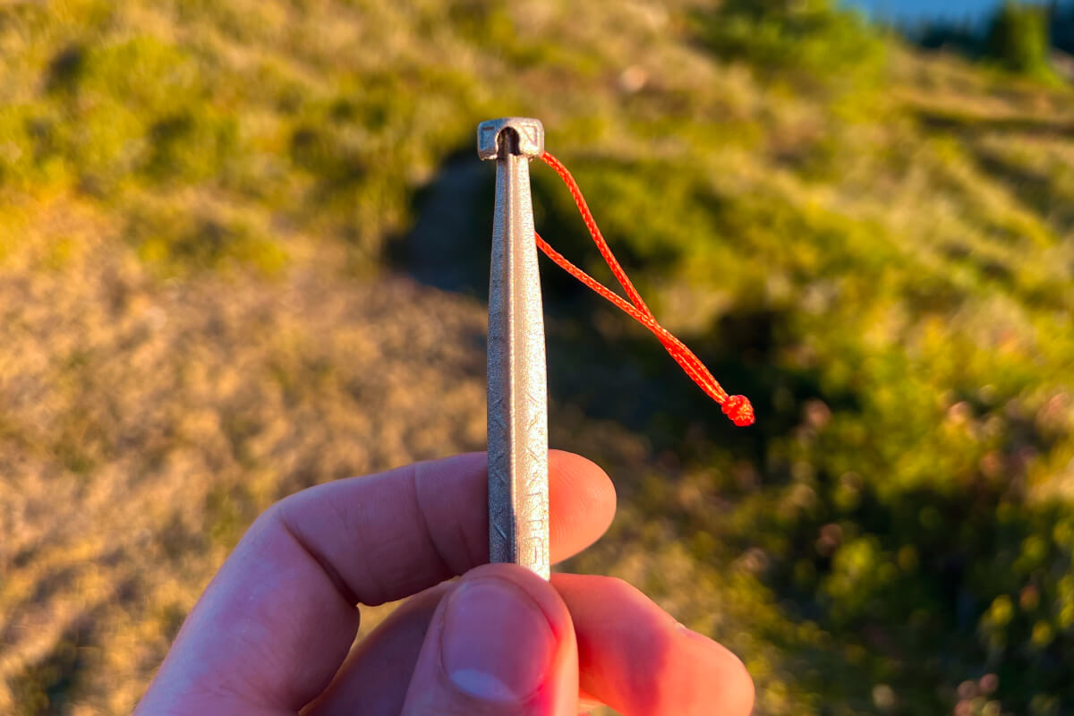 Teragon Gear Pioneer Stake Review - 3D Printed Perfection